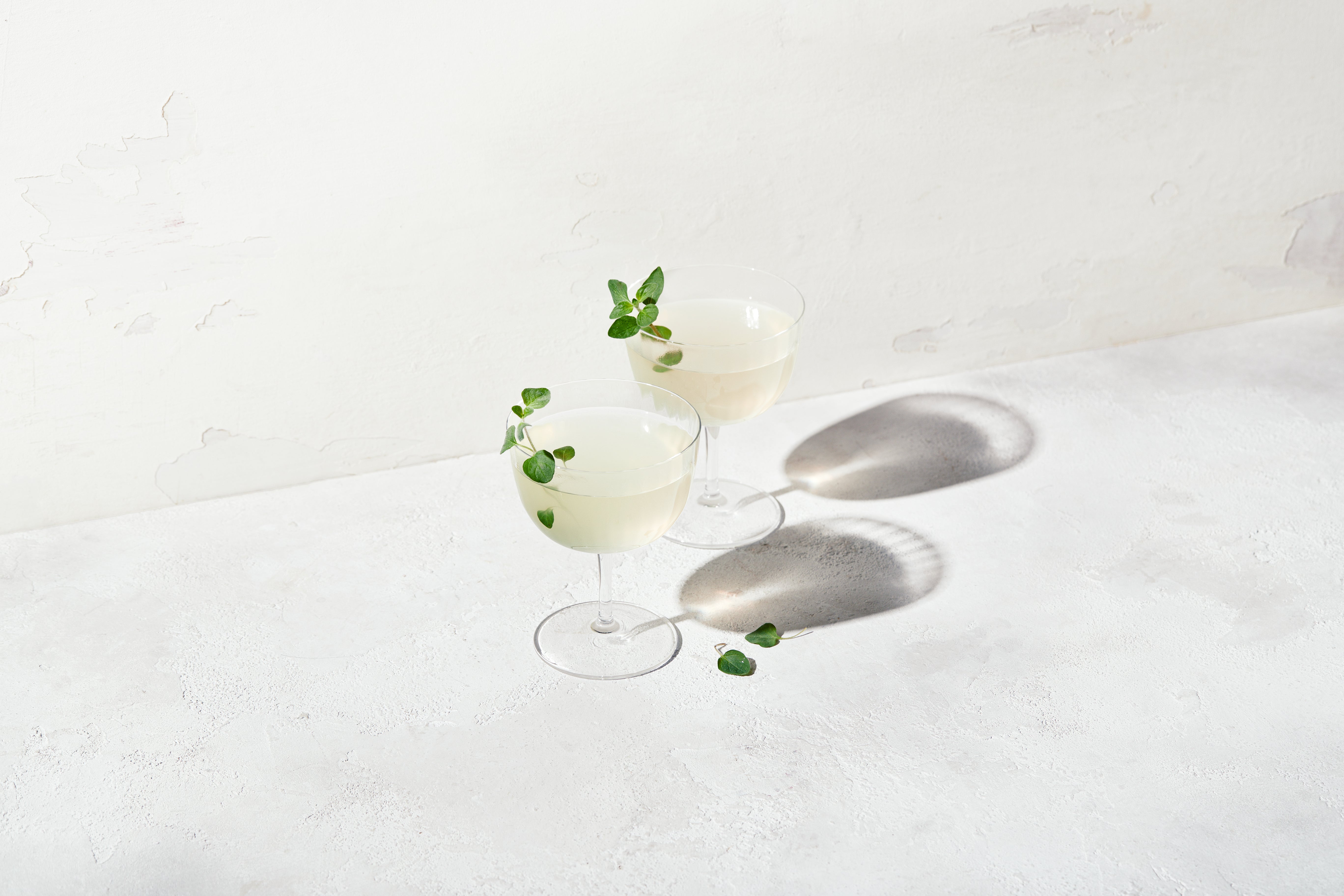 NONA Ginger Tea Oregano – NONA Drinks